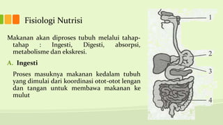 1. KONSEP KEBUTUHAN NUTRISI.pptx