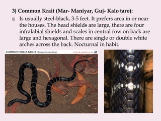 Common Indian Venomous Snakes .pptx