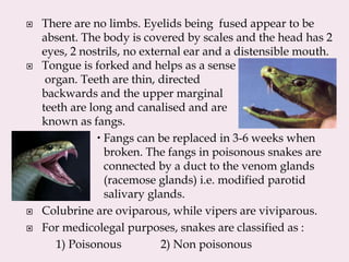 Common Indian Venomous Snakes .pptx