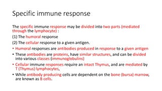 1. Basic Components of the Immune System.pptx