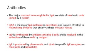 1. Basic Components of the Immune System.pptx