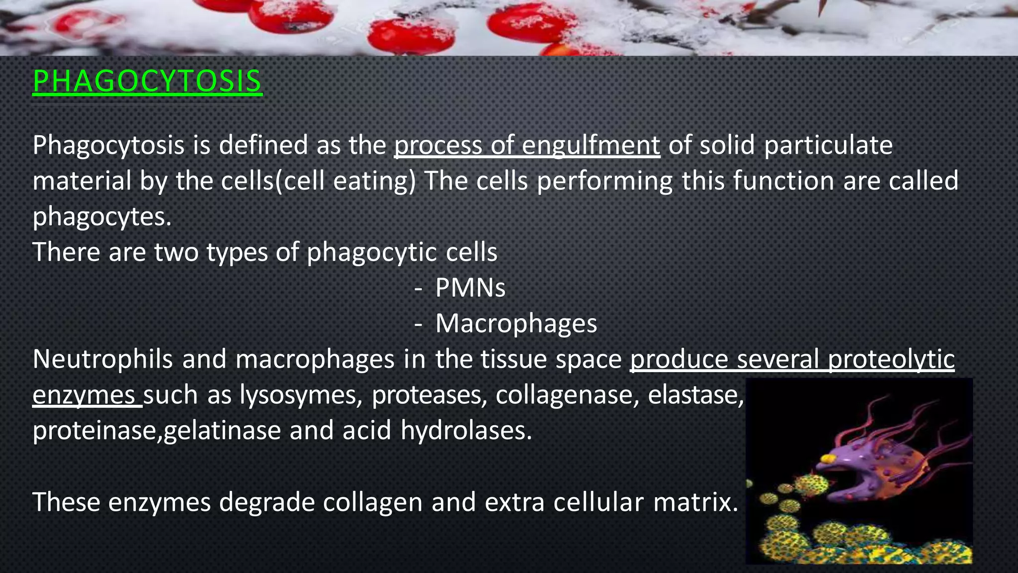 1.2 Inflammation & wound healing.pptx