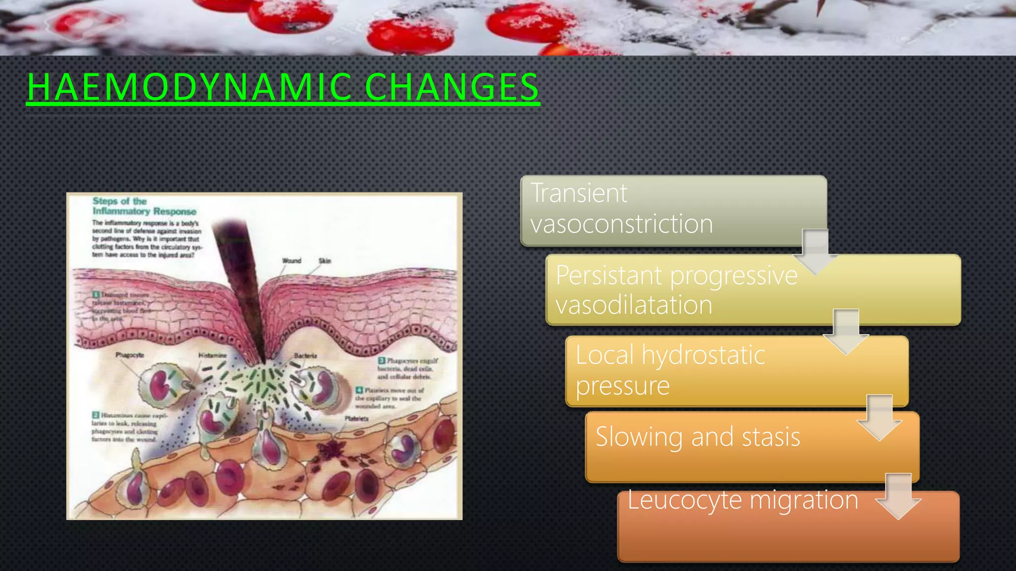 1.2 Inflammation & wound healing.pptx
