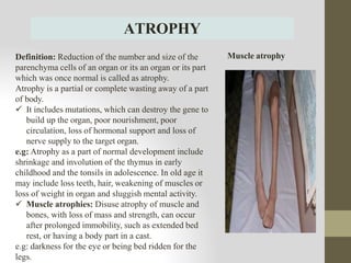 1.1cell injury-1.pptx