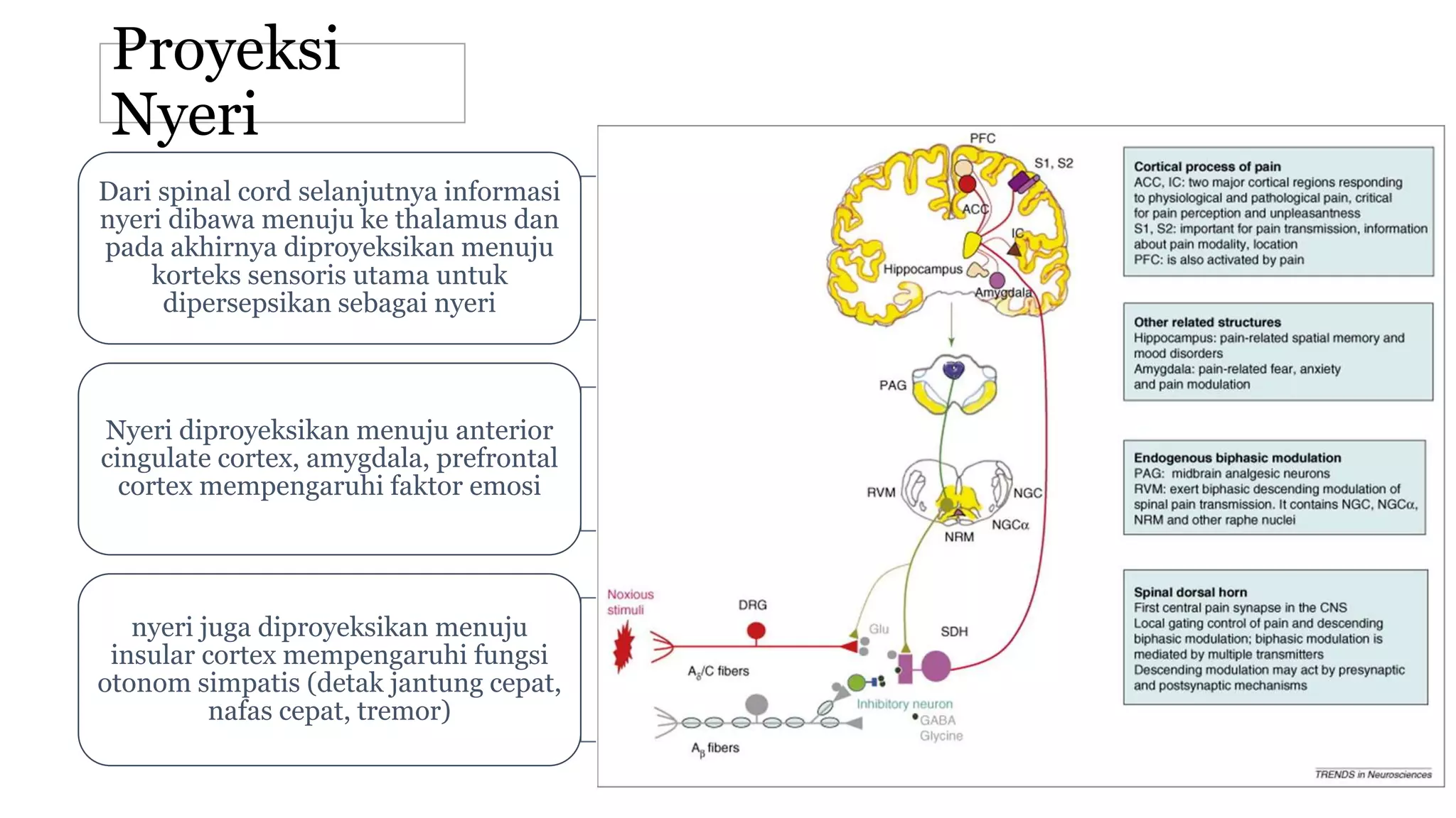 1. Transduksi, Transmisi & Modulasi.pptx