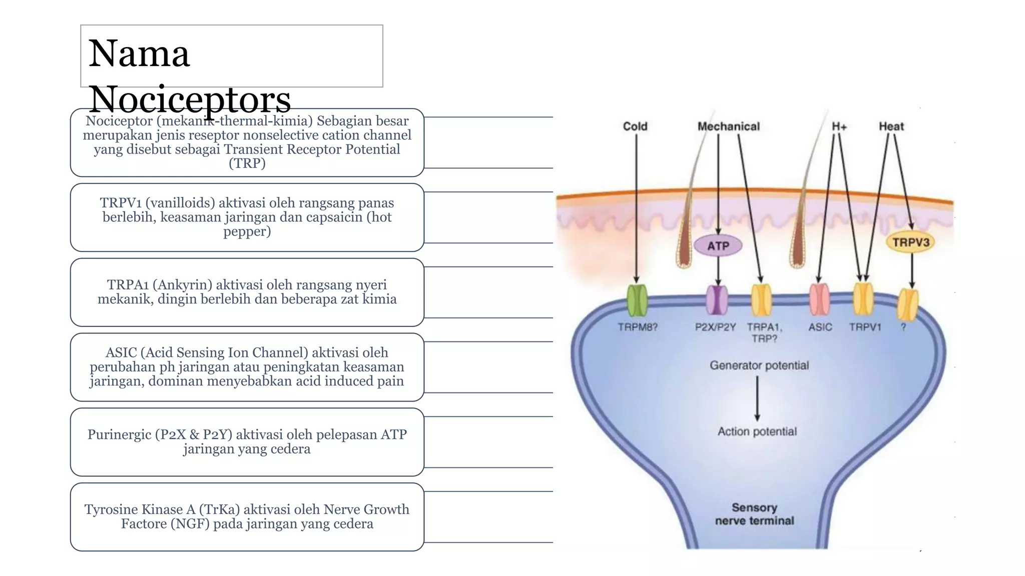 1. Transduksi, Transmisi & Modulasi.pptx