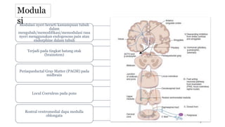 1. Transduksi, Transmisi & Modulasi.pptx