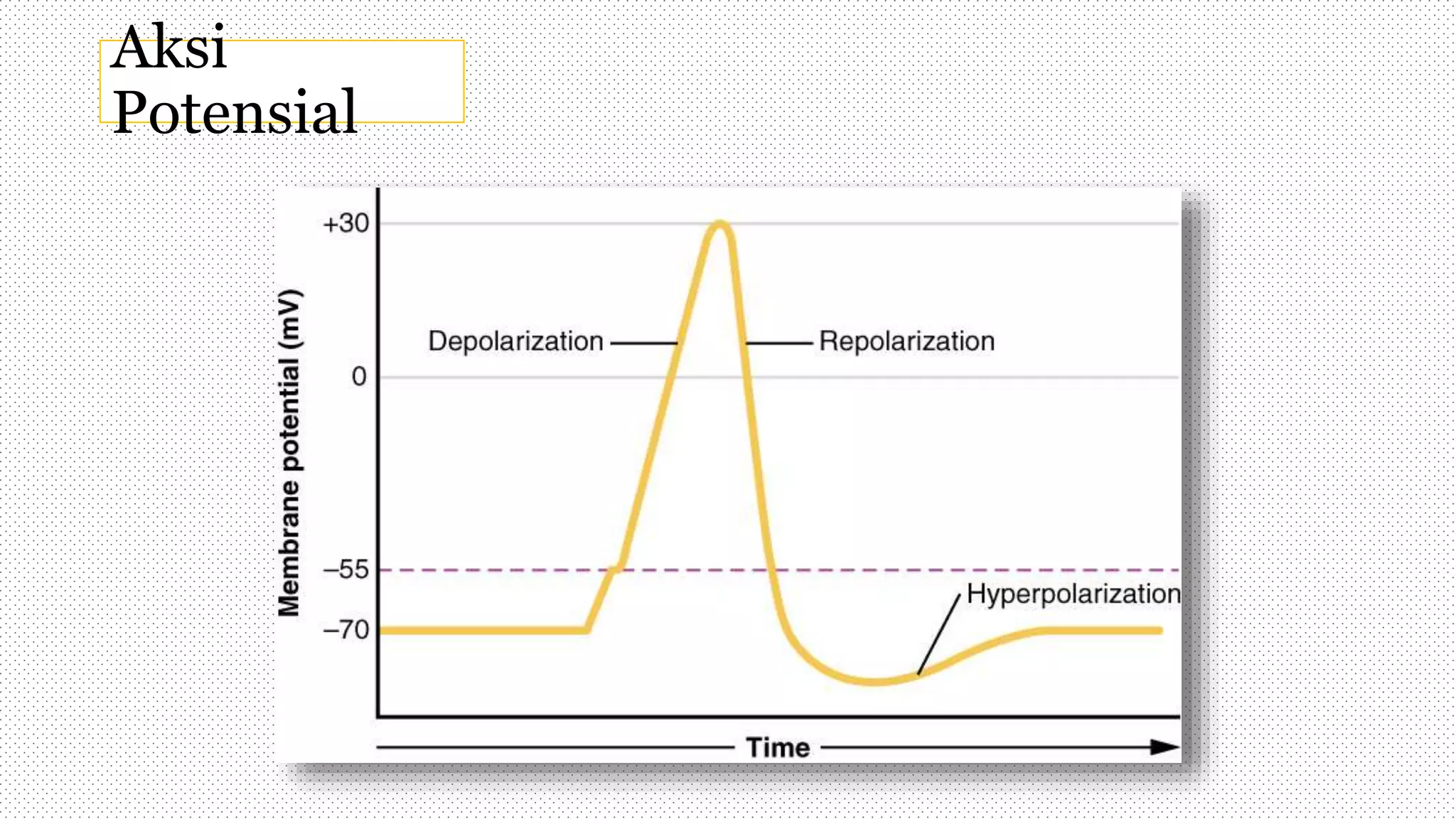 1. Konsep Dasar Elektroterapi.pptx