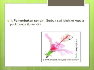 1. PERKEMBANGAN TUMBUHAN GENERATIF.pptx