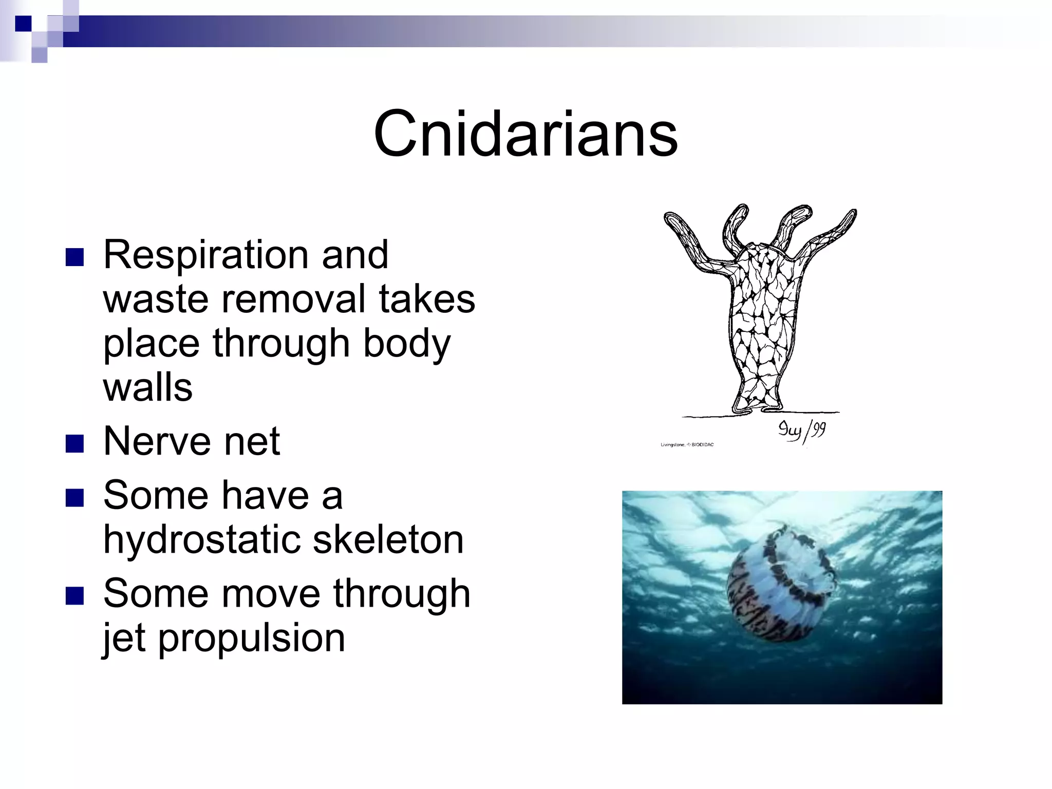 1. Introduction to coral reefs.ppt