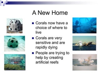 1. Introduction to coral reefs.ppt