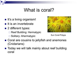 1. Introduction to coral reefs.ppt