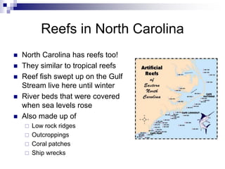 1. Introduction to coral reefs.ppt