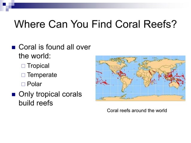 1. Introduction to coral reefs.ppt