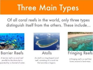1. Introduction to coral reefs.ppt