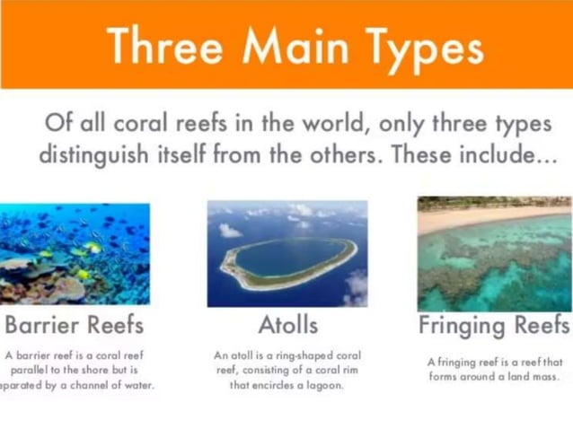1. Introduction to coral reefs.ppt