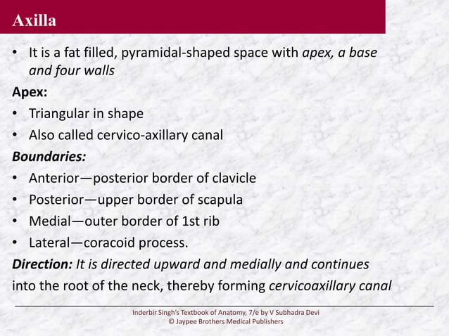 1. axilla.pptx | Free Download