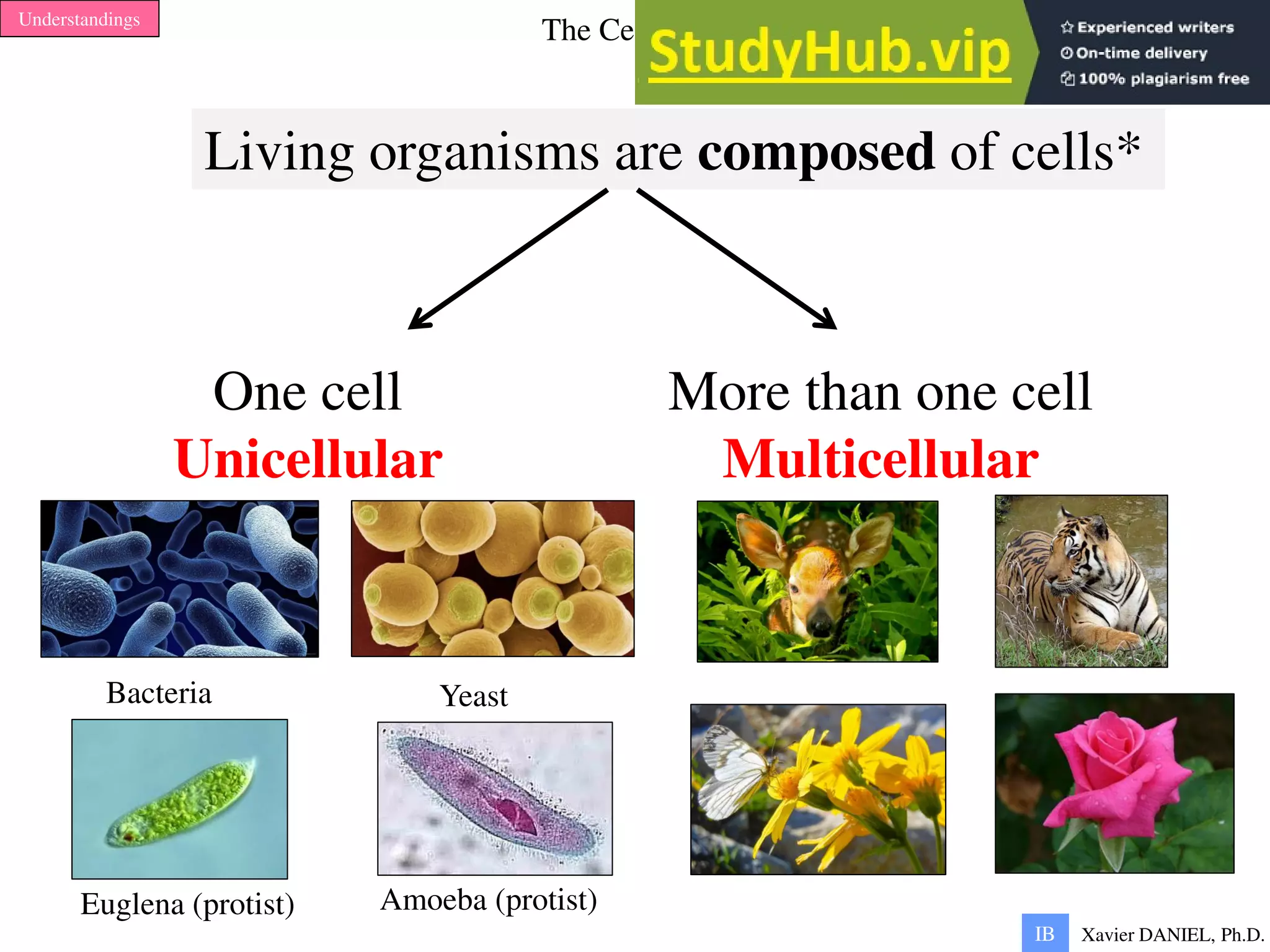 1.1 Introduction To Cells.Pdf
