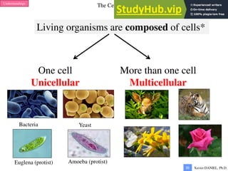 1.1 Introduction To Cells.Pdf
