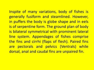 Study of Fish Morphology | PPTX