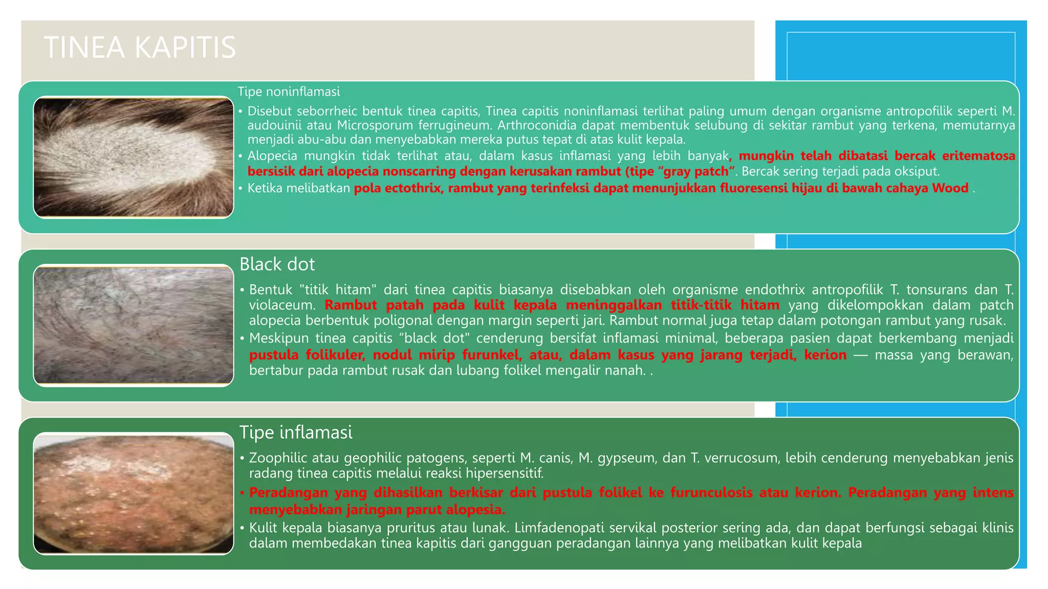 1. Dermatofitosis (1).pptx