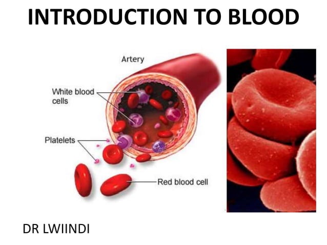 1. BLOOD Part 2.pptx