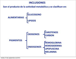 Inclusiones | PDF