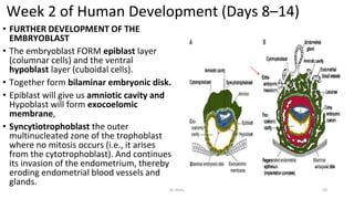 1.. DR.Shitu OOGENESISI-SPERM-EMBRY(1).pptx