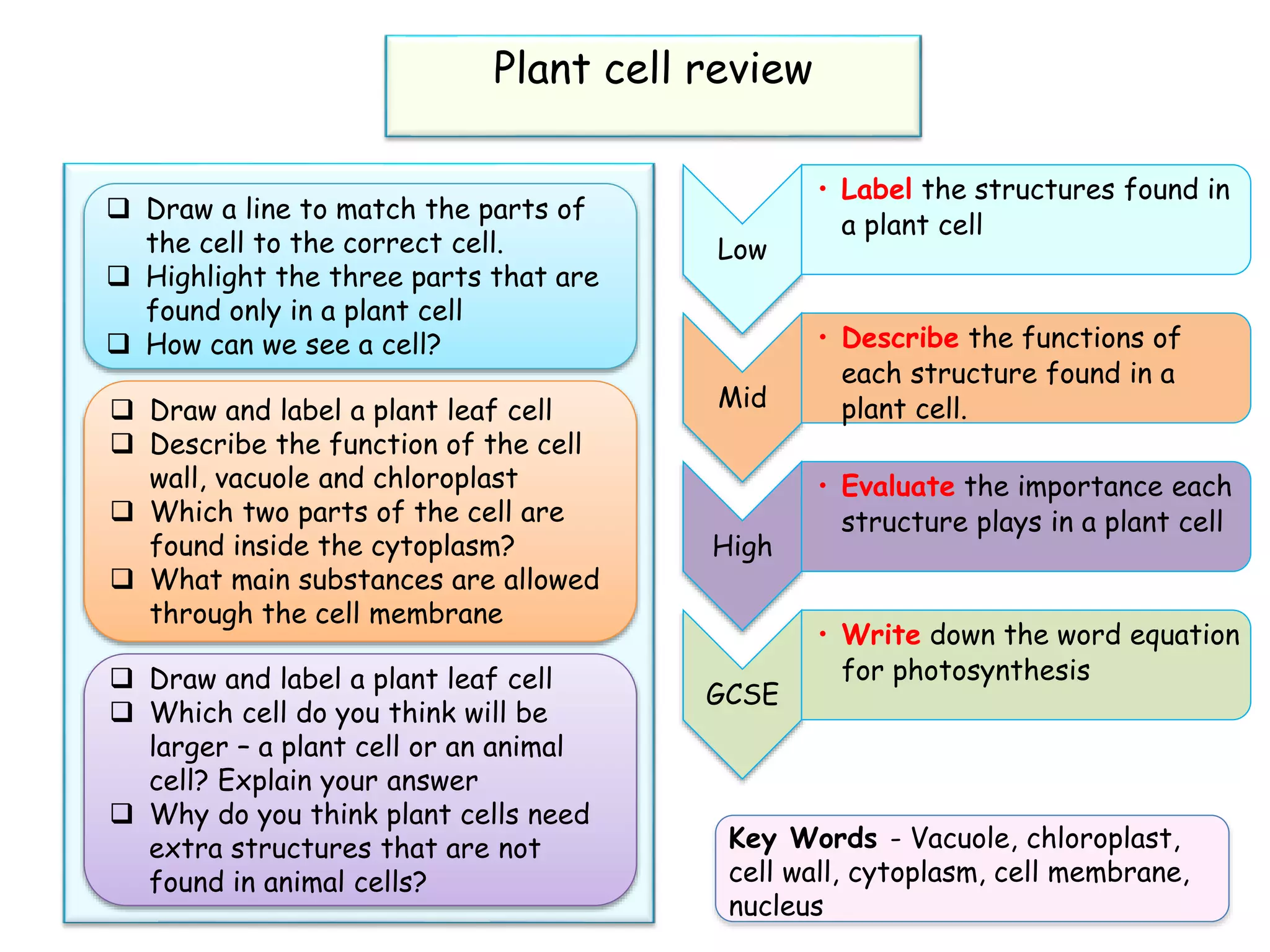 1.3b-Plant-cells-PP.ppt