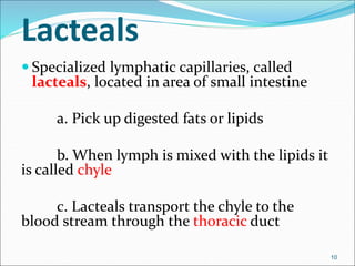 1._Overview_of_the_Immune_System.ppt