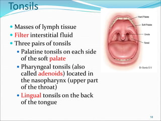 1._Overview_of_the_Immune_System.ppt