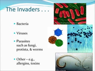 1._Overview_of_the_Immune_System.ppt