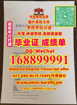 USYD毕业证 | PDF