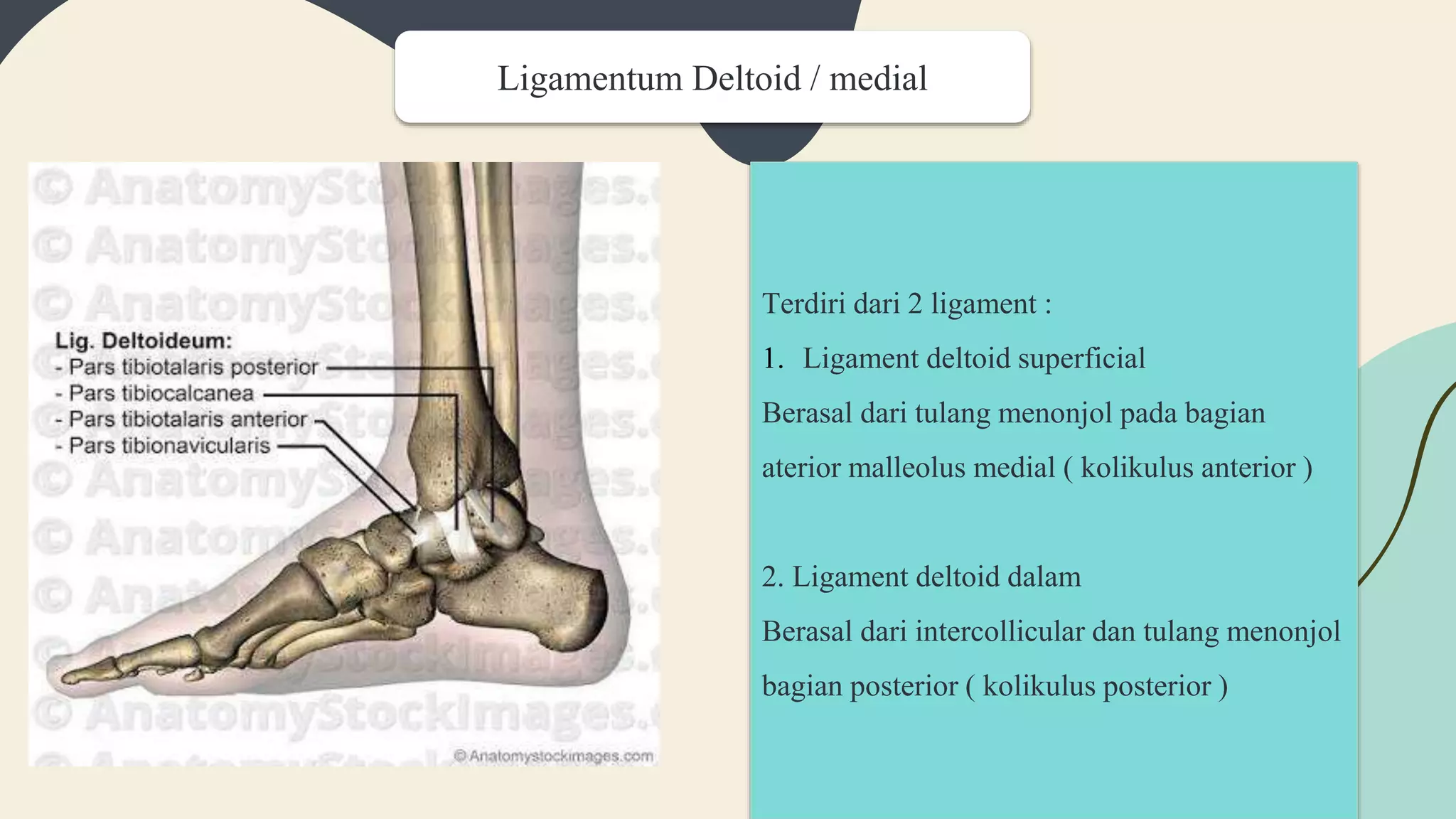 1. Anatomy for Orthopedic shoes. pptx | PPTX