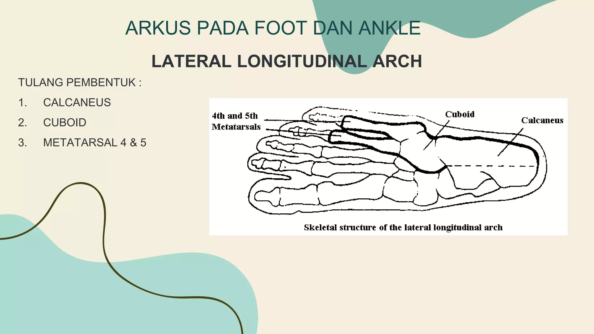 1. Anatomy for Orthopedic shoes. pptx | PPTX