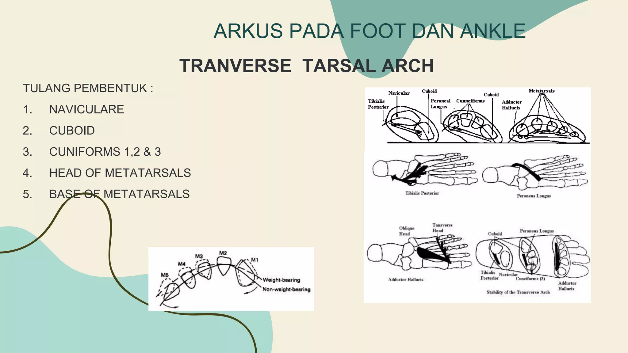 1. Anatomy for Orthopedic shoes. pptx | PPTX