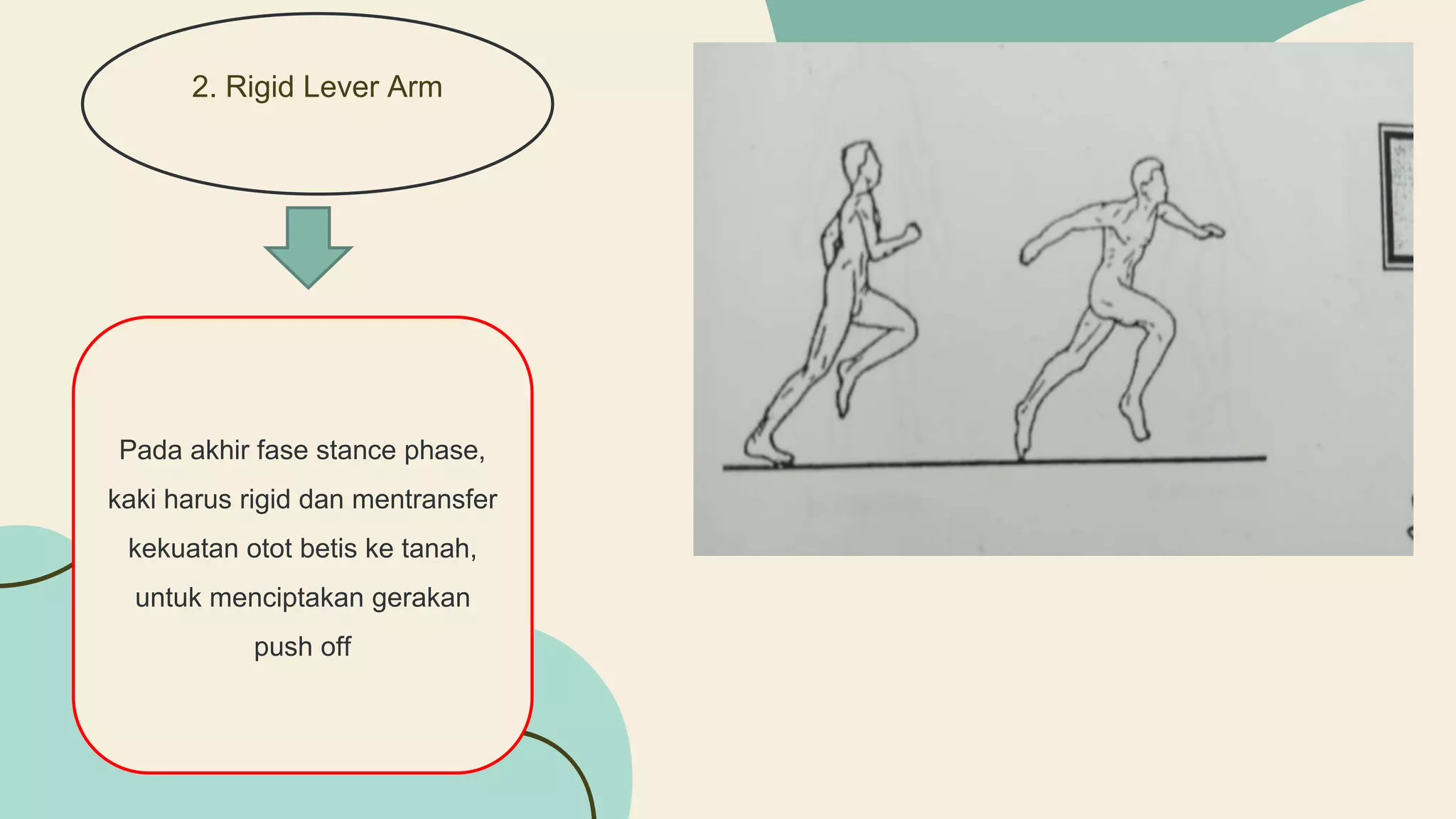 1. Anatomy for Orthopedic shoes. pptx | PPTX