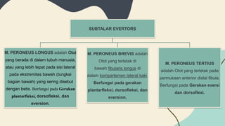 1. Anatomy for Orthopedic shoes. pptx | PPTX