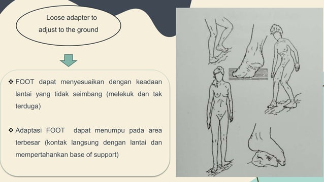 1. Anatomy for Orthopedic shoes. pptx | PPT