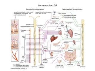 1. Overview of The Digestive system by D Siwale.pptx
