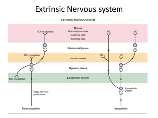 1. Overview of The Digestive system by D Siwale.pptx