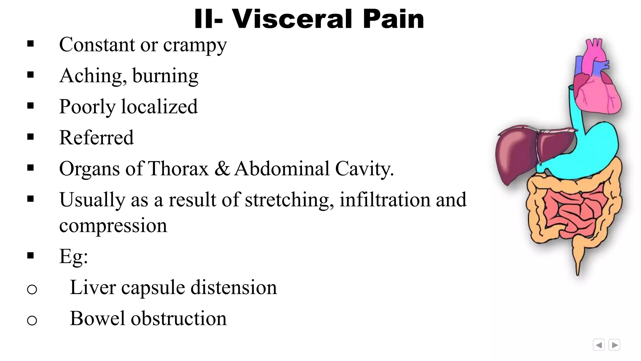 1. Understanding the pain basics.pptx | Physical Therapy | Wellness