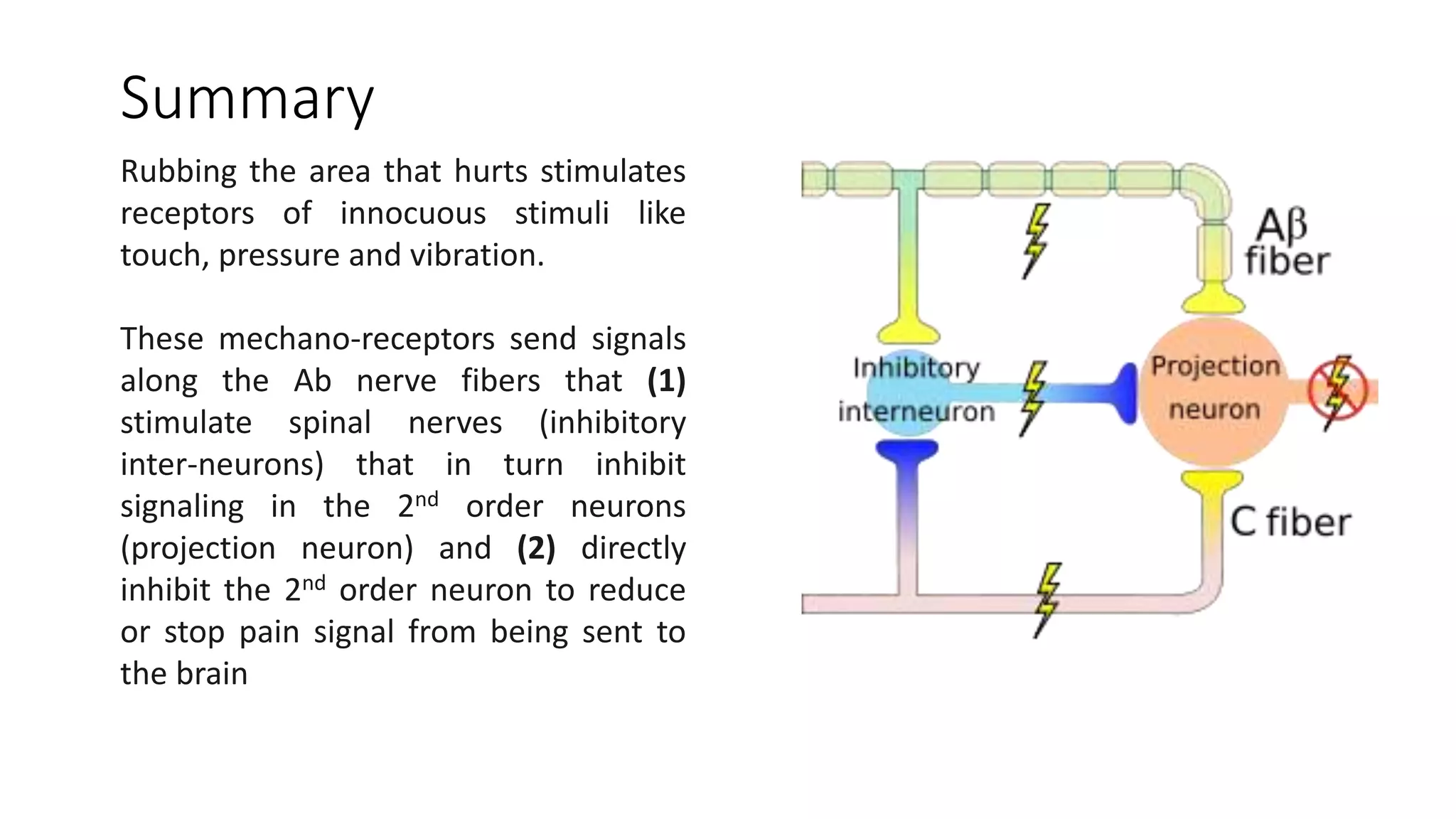 1. Understanding the pain basics.pptx | Physical Therapy | Wellness