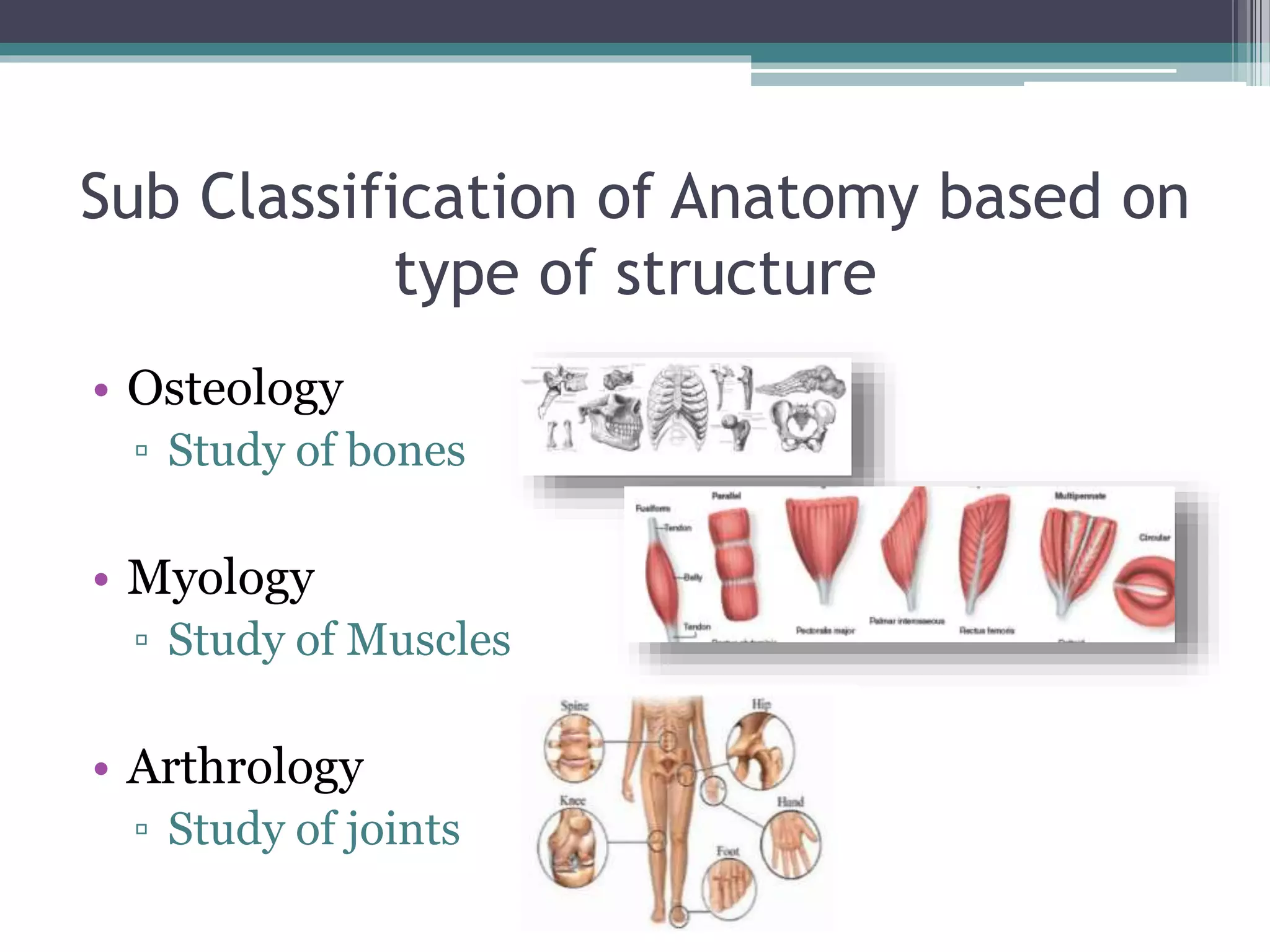 1. Anatomy Introduction & Nomenclature.pptx