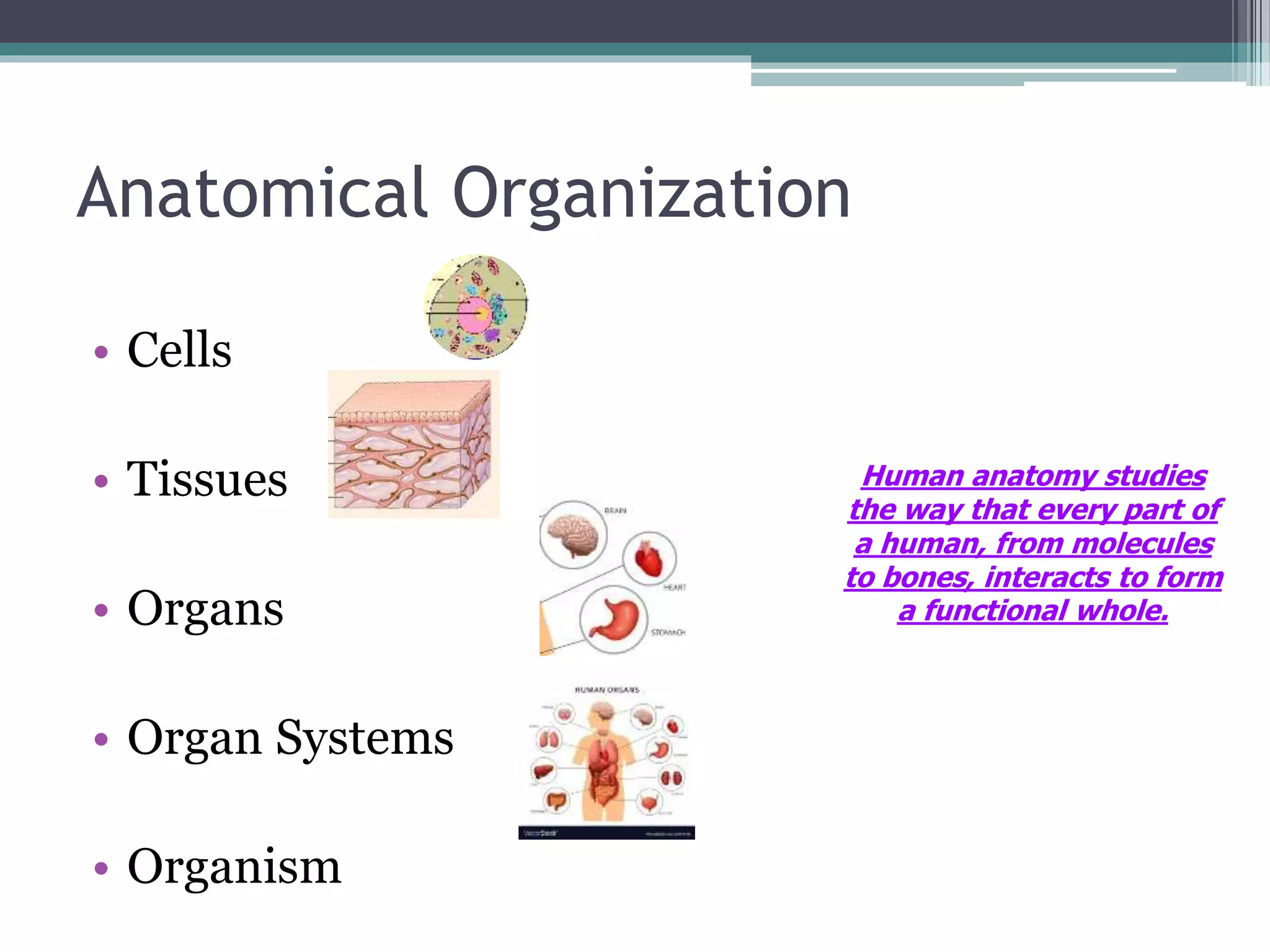 1. Anatomy Introduction & Nomenclature.pptx