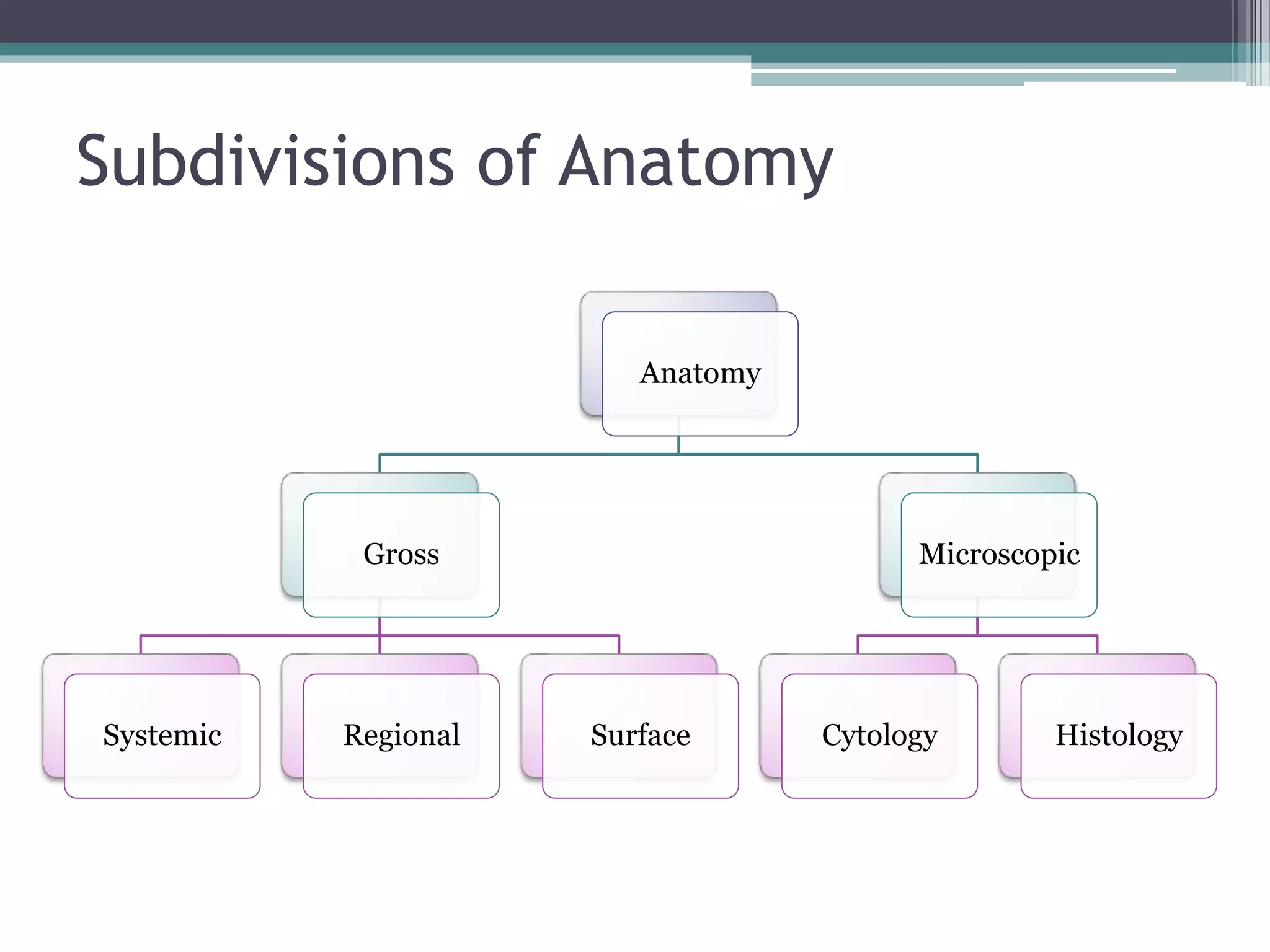 1. Anatomy Introduction & Nomenclature.pptx