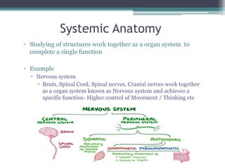 1. Anatomy Introduction & Nomenclature.pptx