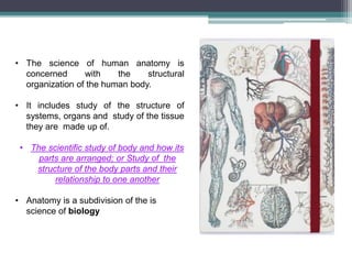 1. Anatomy Introduction & Nomenclature.pptx