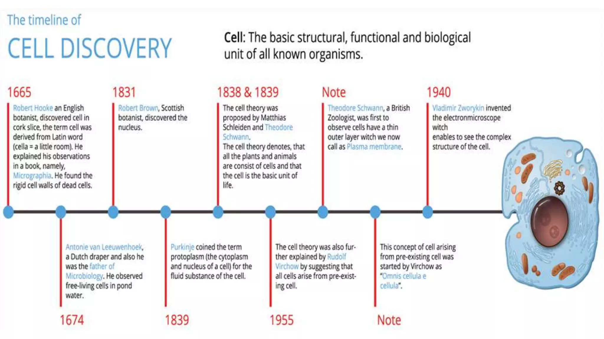 1. WEEK 1-Cell theory.pptx