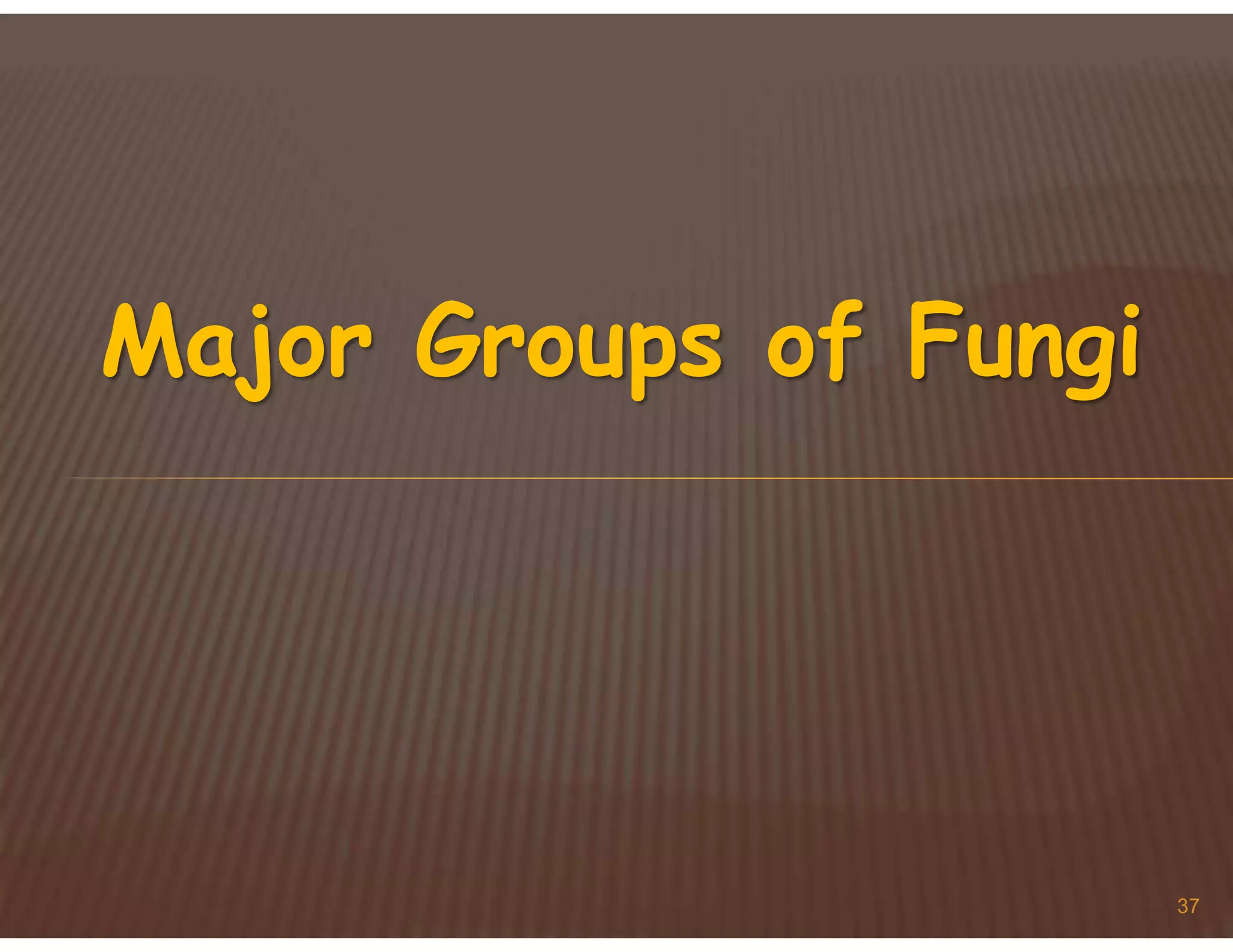 1. General Characters of Fungi.pdf | Gardening | Home & Garden